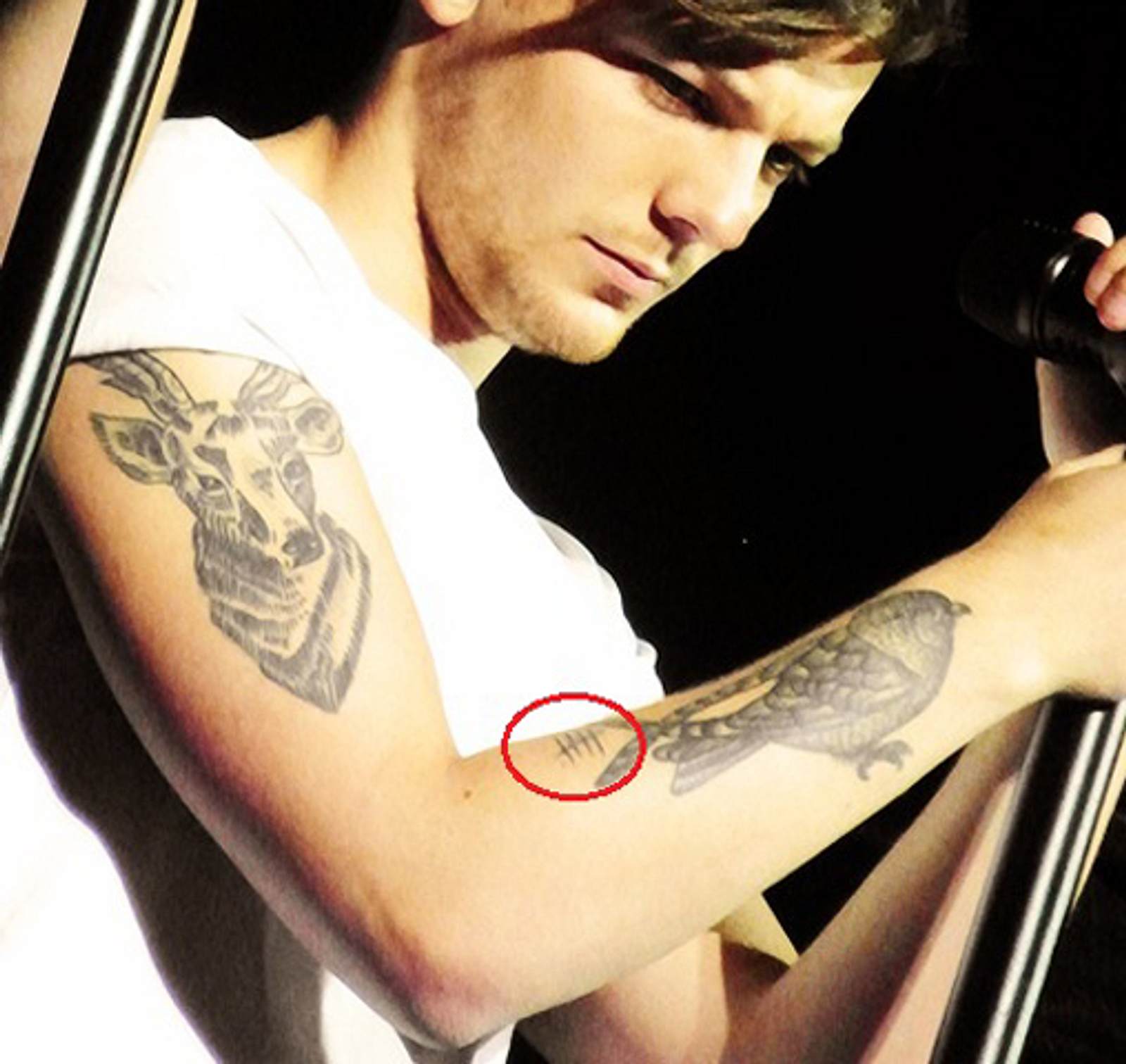 One Direction Tattoos | One Direction: Ihre Tattoos | BRAVO