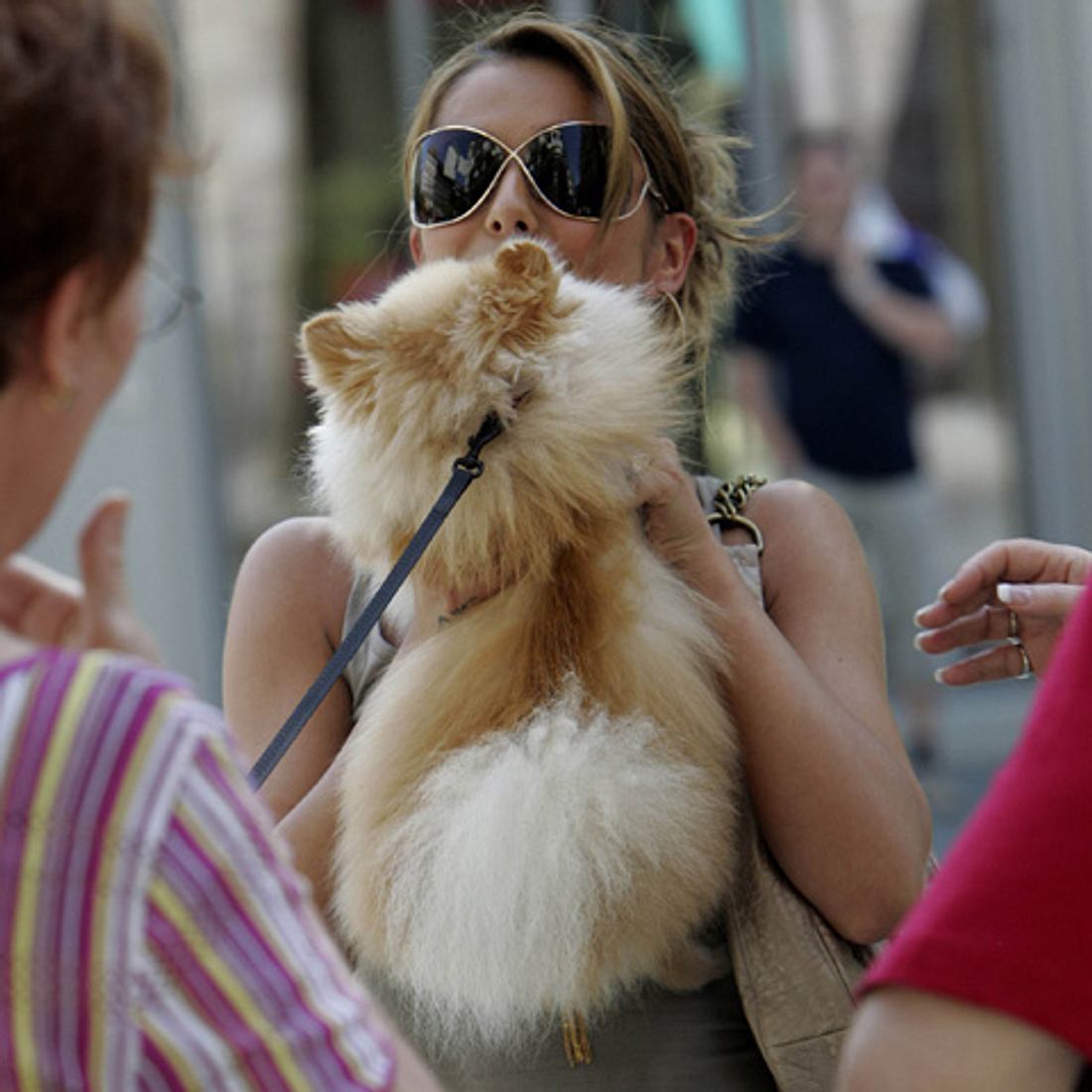 Süße Hunde: Die Tiere der Stars! | Süße Hunde: Die Tiere der Stars | BRAVO
