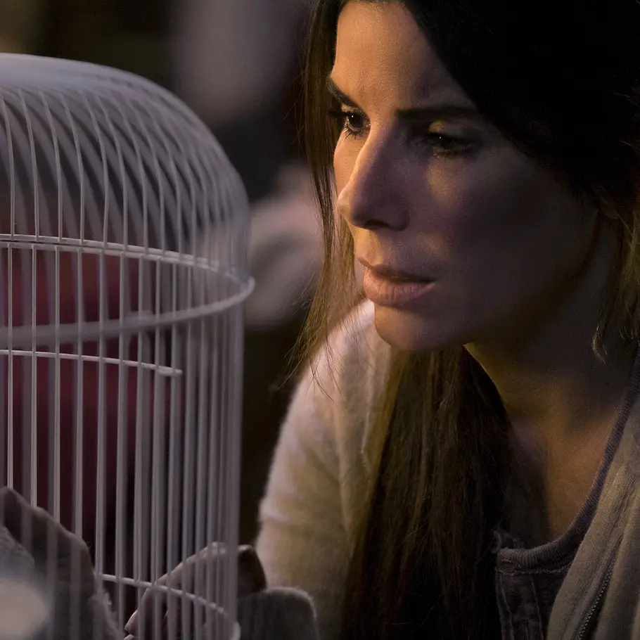 Netflix Bird Box erklärt: Wie sehen die Monster aus? | BRAVO