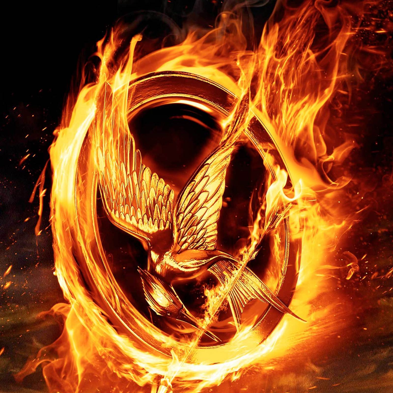 "Die Tribute von Panem": Neuer Film mit den Hauptdarstellern? | BRAVO