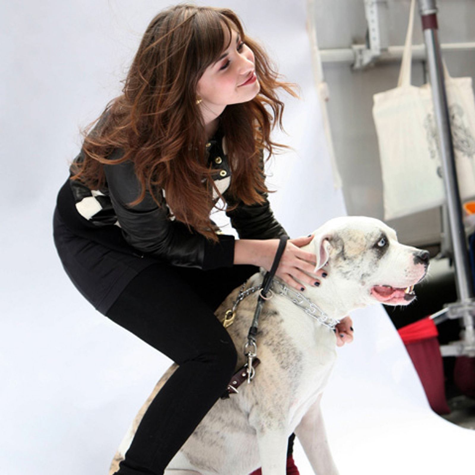 Süße Hunde: Die Tiere der Stars! | Süße Hunde: Die Tiere der Stars | BRAVO