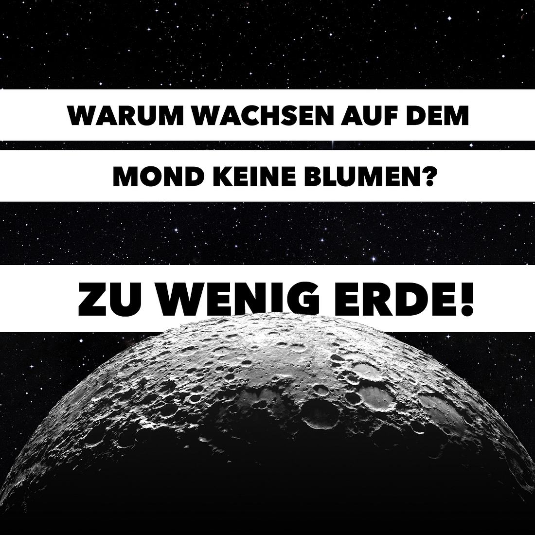 170+ Flachwitze: Lustig! Frech! Krass! | BRAVO