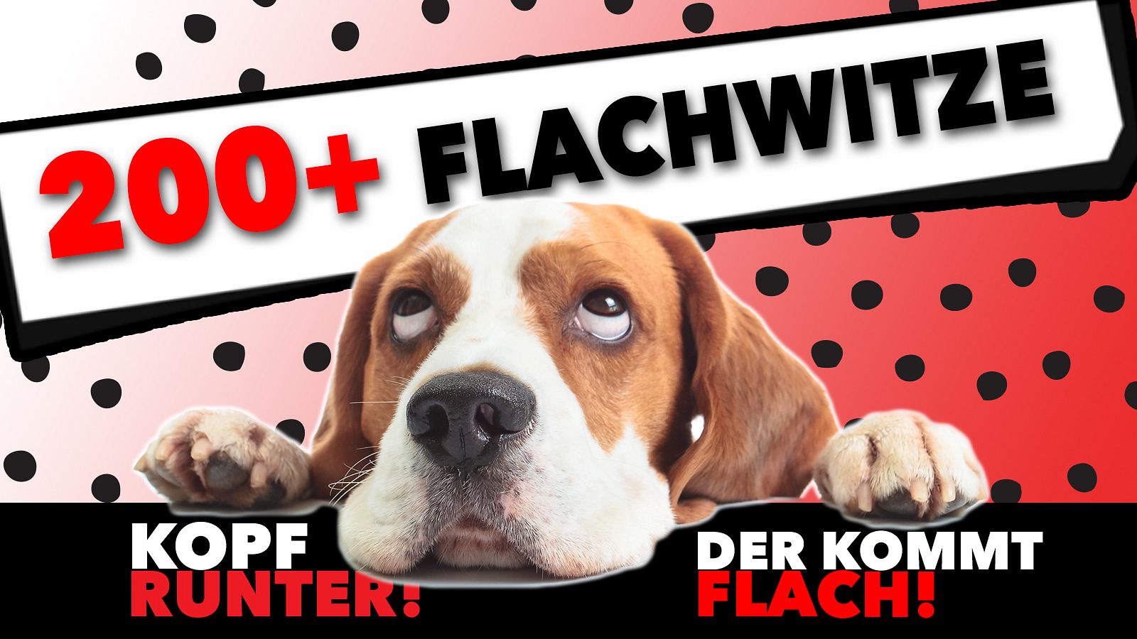 222+ Flachwitze: Lustig! Frech! Extrem! 🤣 | BRAVO